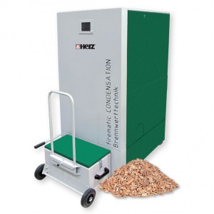 Wood chip-/ pellet boiler - HERZ Energietechnik